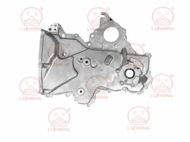 213502B000, 213502B001 Car Oil Pumps - LIZHONG PARTS